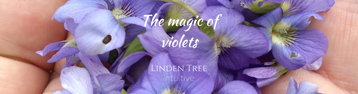 The Magic of Violets